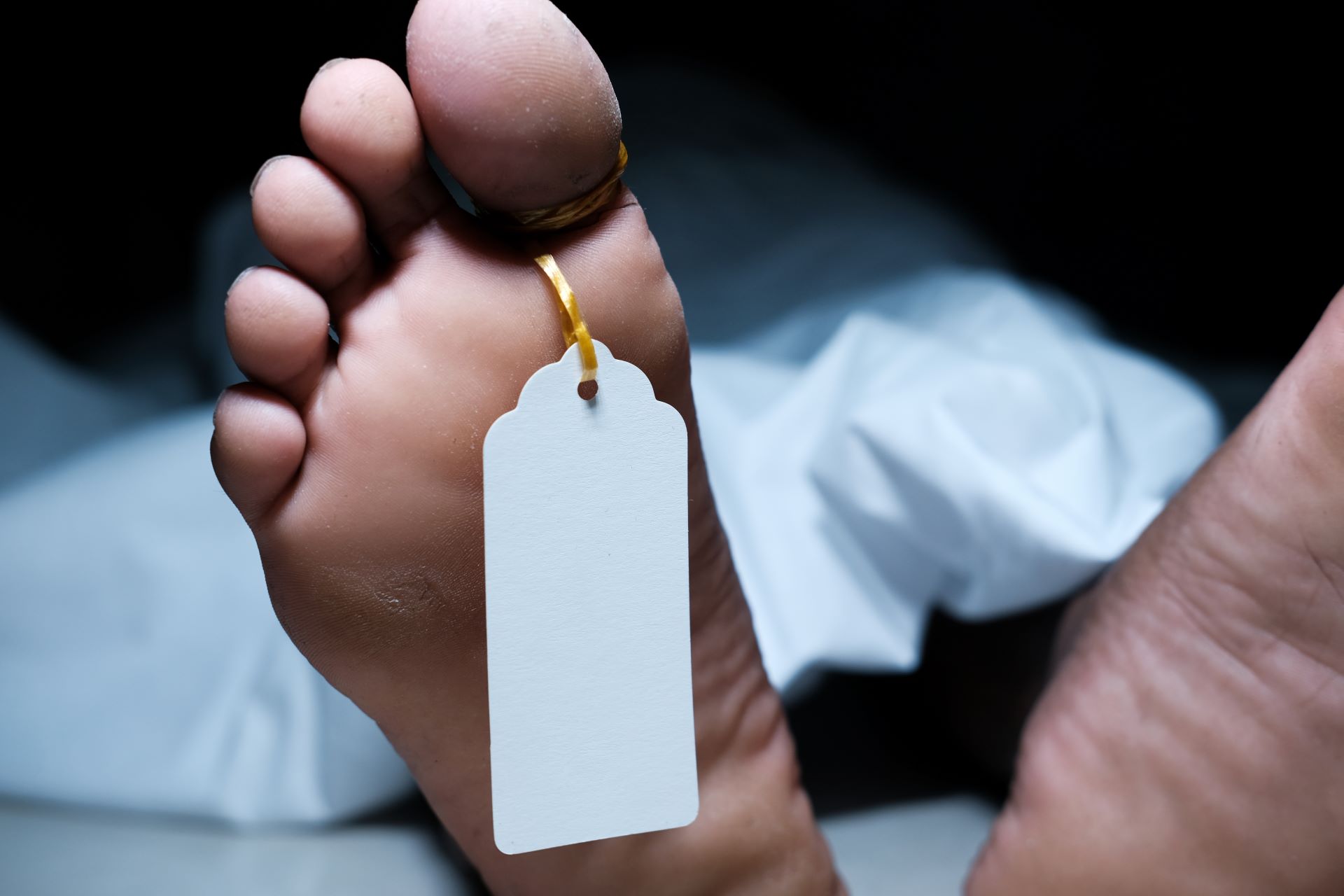 Exploring the Scope of Partial and Limited Autopsies